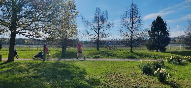 How did your parkrun or (not)parkrun go? | Bridge to 10K