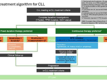 2025 British Society for Haematology Guidel... | CLL Support